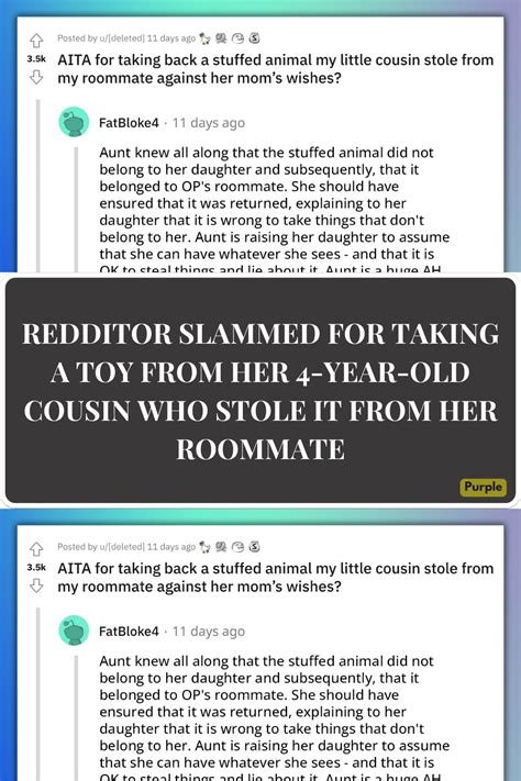 Redditor Slammed For Taking A Toy From Her 4 Year Old Cousin Who Stole It From Her Roommate