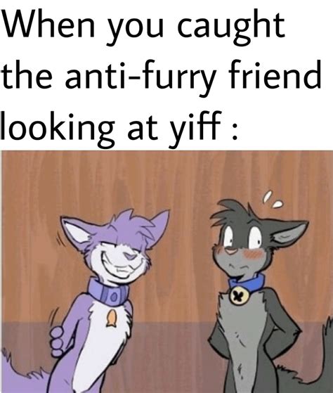 Furry😏irl Rfurryirl