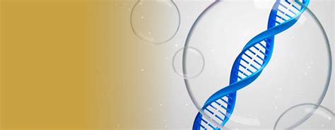 Amplicon Sequencing In Microbial Genomics Paragon Genomics