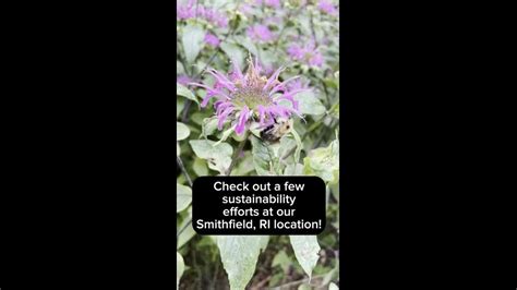 Sriharipramod K On Linkedin Sustainability Fidelityassociate