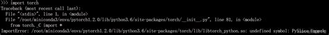 importerror root miniconda3 envs pytorch1 2 0 lib python3 6 site