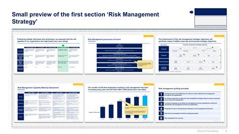 Risk Management Toolkit And Framework By Ex Mckinsey