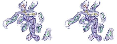Stereo View Of A 2f O F C Electron Density Map Contour Level At 1 0