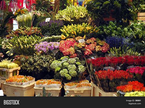 Flower Stall Image And Photo Free Trial Bigstock
