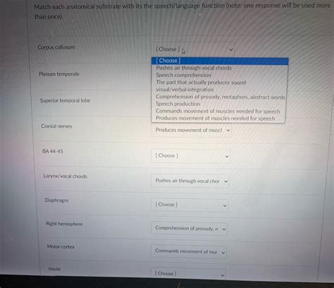 solved match each anatomical substrate with its the