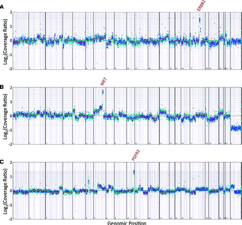 Copy Number Alteration Plots For Several Cases Harboring Receptor Download Scientific Diagram