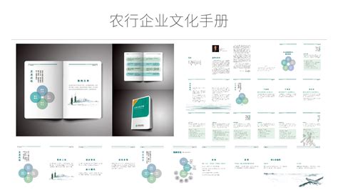 品牌战略咨询产品案例集 正邦品牌咨询与设计