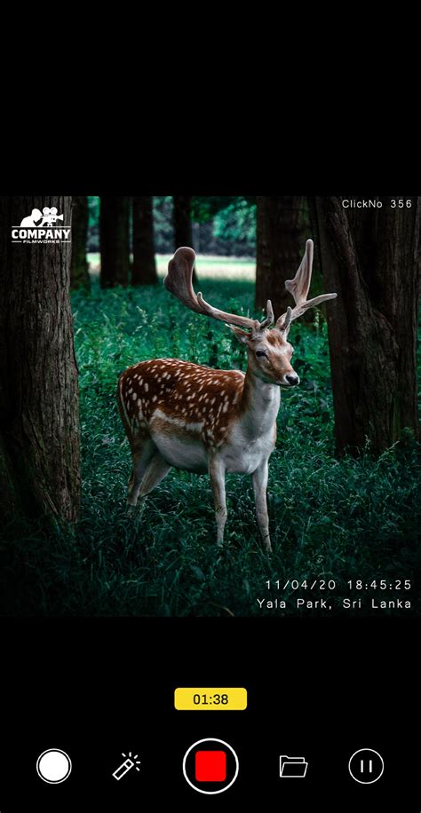 Timestamp Camera Date Stamp Apk Android ダウンロード