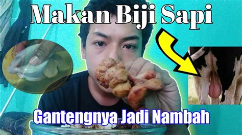 Makan Biji Torpedo Sapi Yang Sudah Di Goreng Muuaaannnttteepppp Broooo