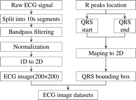 Generation Of Ecg Samples For The Faster R Cnn Based Qrs Detector Download Scientific Diagram