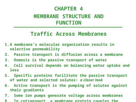 Ppt Chapter 4 Membrane Structure And Function Traffic Across Membranes 1 A Membranes