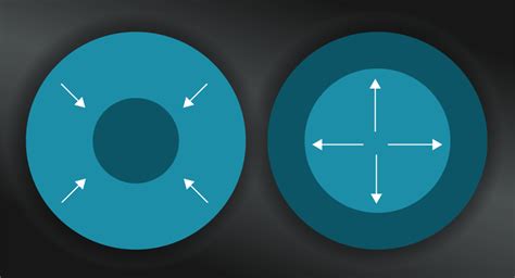 ModelThinkers Focused And Diffuse Thinking