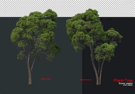 Premium PSD A Set Of Trees With The Text Fig Tree On The Left