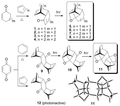 Report Topologically Diverse New Polycyclic Scaffolds Via Key Photochemical Steps 56th Annual
