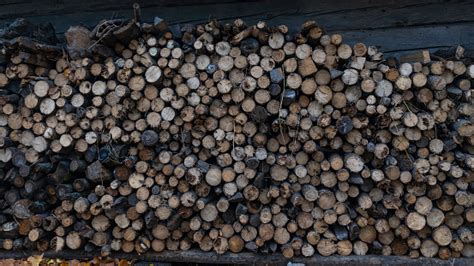 빈티지 나무 헛간 벽에서 겨울을 위해 준비 된 다진 불 나무 통나무 의 큰 더미를 깔끔하게 쌓아 디자인에 대한 텍스처 0명에 대한 스톡 사진 및 기타 이미지 Istock