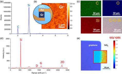A Edx Spectrum Of Dominant Elements Composing The Gfet Sensor B Afm