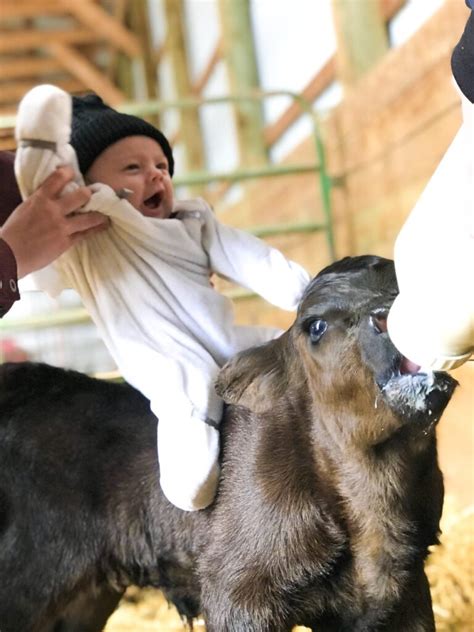 Keeping Calving Records Food Comes From Families®