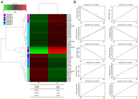 Heatmap And Clustering Analysis Of The Expression Patterns Of Deps In