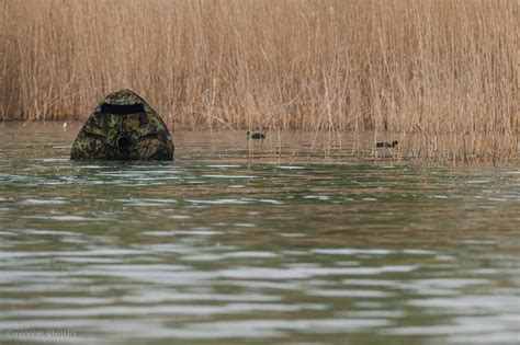 The MrJan Gear Floating Hide II An In Depth Review