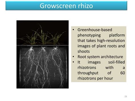 High Throughput Plant Phenotyping In Crop Improvement Pptx Agriculture Industries