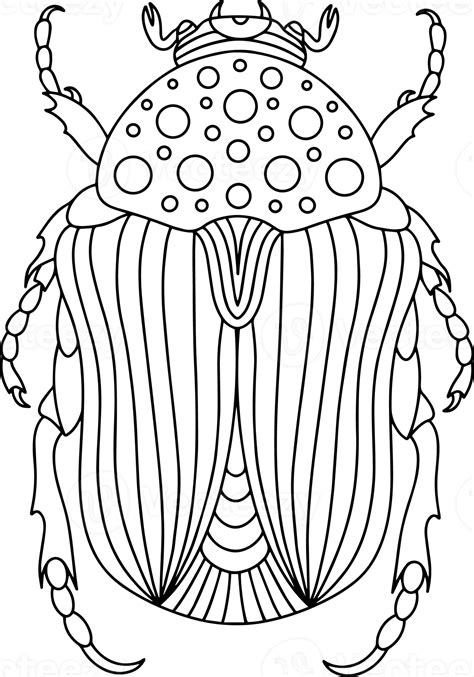 Bug Linear Illustration Png PNG