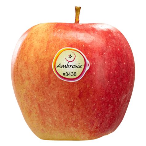 Apple Ambrosia Each I Can Eat A Rainbow
