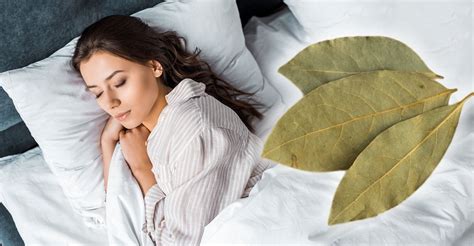 უძილობას წამლების გარეშე მოიშორებთ თუ ღამით დაფნის ფოთოლს ბალიშის ქვეშ