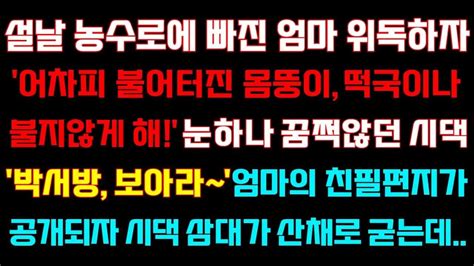 반전 신청사연 설날 농수로에 빠진 엄마 위독하자 눈하나 꿈쩍않던 시댁 엄마의 친필편지가 공개되자 시댁삼대가 하얗게 굳는데실화사연사연낭독라디오드라마신청사연 라디오
