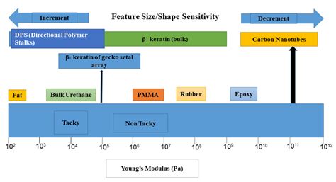 Shape Sensitivity Is Shown For Various Materials Youngs Modulus Range Download Scientific