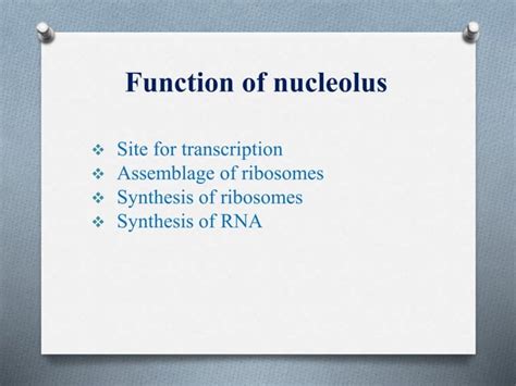 Nucleus PPTX Biological Sciences Science