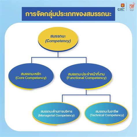 การประเมินสมรรถนะ Competency Assessment คืออะไร ทำไมจึงสำคัญ ครู
