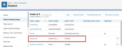salesforce unique text field