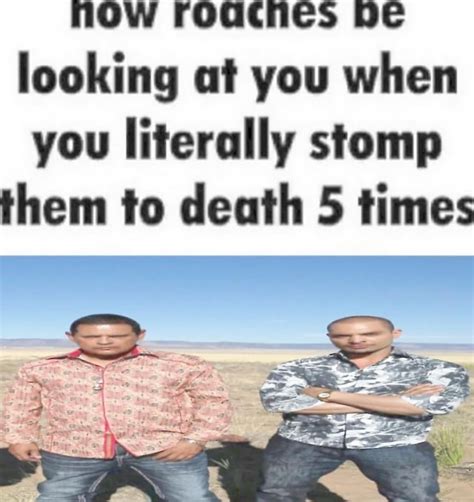 This Dog Is Fucked Up Bruh Rmoldymemes