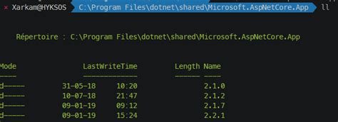Remove Old Sdk Can T Remove All Old Runtime Issue 3404 Dotnet Runtime GitHub