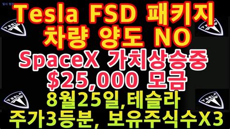 테슬라 자연스러운 주가 눌림 Tesla Fsd 패키지 차량 양도 Nospacex 가치 상승중 25000모금8월25일 테슬라 주가 3등분 보유주식수 X 3