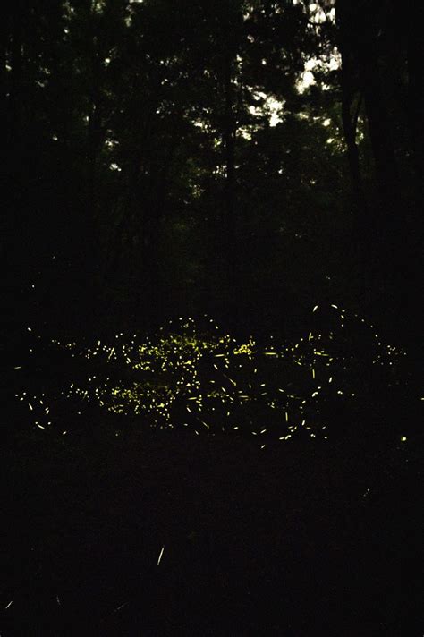 Lightning In A Bottle Cityview