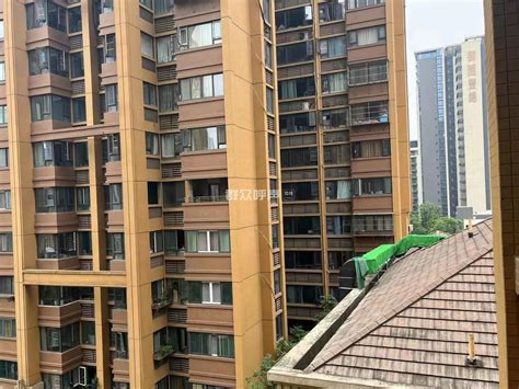 海鲜大排档违反成都市自然资源局规定违规架烟道 问政成都市郫都区 四川群众呼声 四川省网上群众工作平台 郫都区委书记