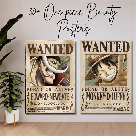 One Piece Bounty Wallpapers Top Free One Piece Bounty Backgrounds