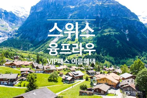 스위스 여름 융프라우 Vip 패스 요금 And 혜택 정리 네이버 블로그