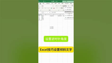 Excel技巧设置倾斜文字 Exceltips Exceltips Learnexcel Learnexcelfree