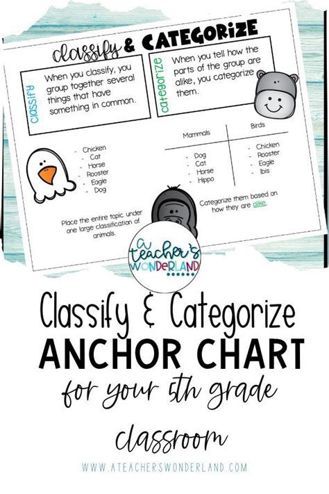 Classify And Categorize Anchor Chart Anchor Charts Upper Elementary