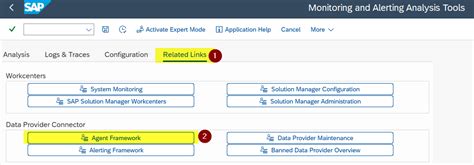 SAP Solution Manager 7 2 Agent Version Differs From LMService SAP Basis World