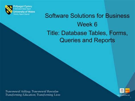 ssb database tables forms queries and reports 1 pptx