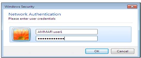 Window Prompt For Credentials Download Scientific Diagram