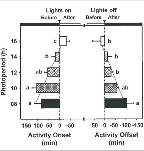 Phase Angle Of Photic Synchronization In A Ansorgei Exposed To