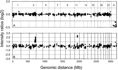 array cgh analyses a array cgh analysis of a normal male sample
