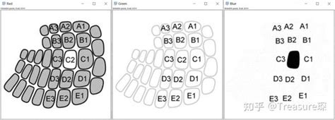 Imagej实用教程——文章抠图基础功能篇 知乎