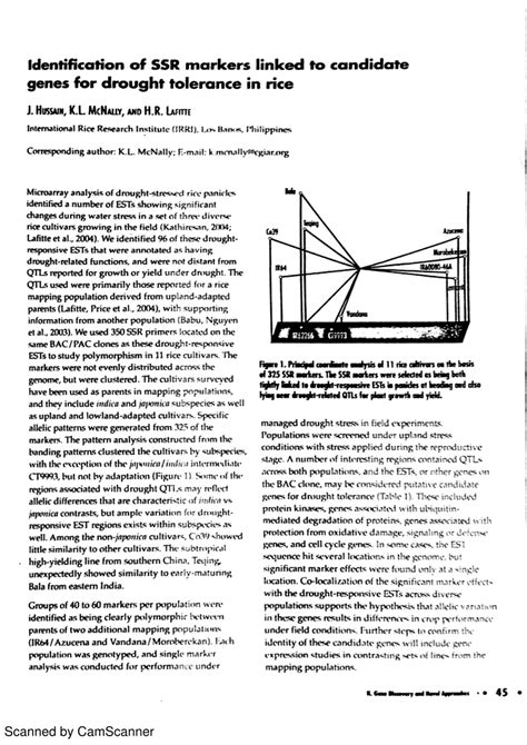 Pdf Identification Of Ssr Markers Linked To Candidate Genes For