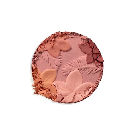 Physicians Formula Monoi Butter Blush Mauvy Mattes 4 5g Colombia