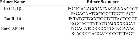 The Sequences Of Rat Rt Qpcr Primers Download Scientific Diagram
